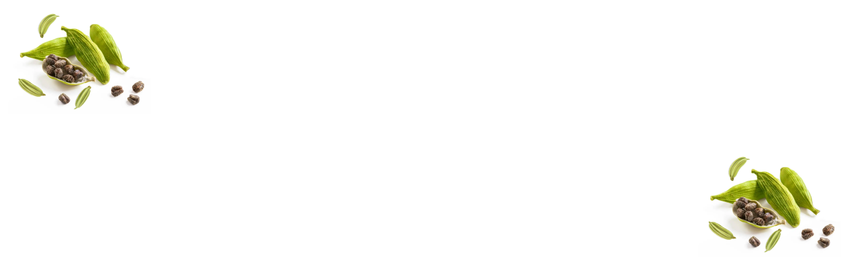 Mouth Fresheners – Shahi