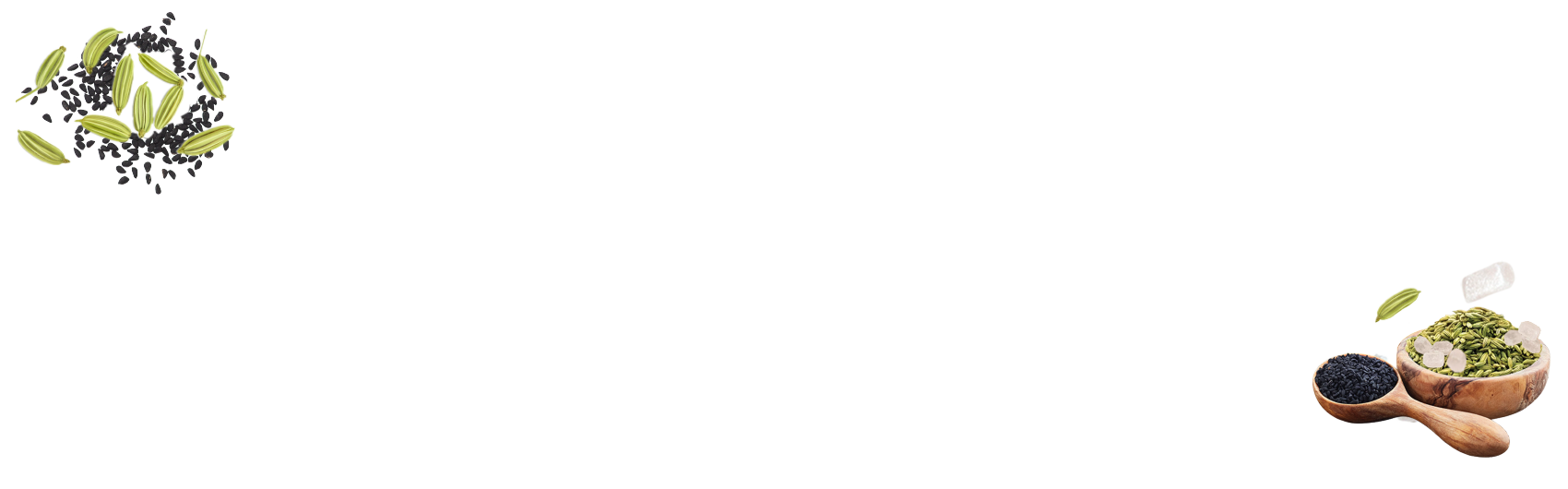 Mouth Fresheners – Shahi